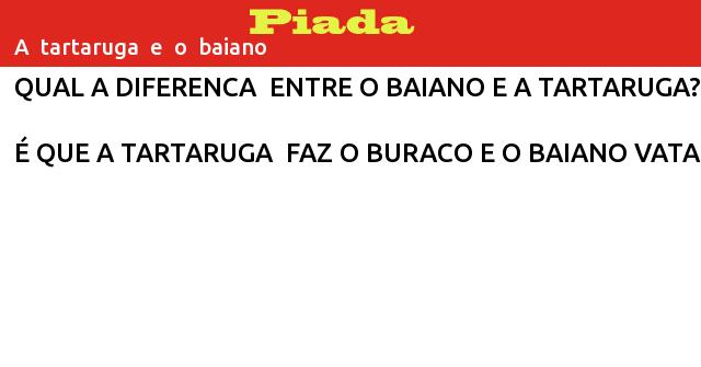 A tartaruga e o baiano - Outras - Piadas Gratis (25573)